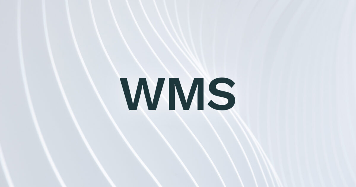 What is a WMS? | Witify